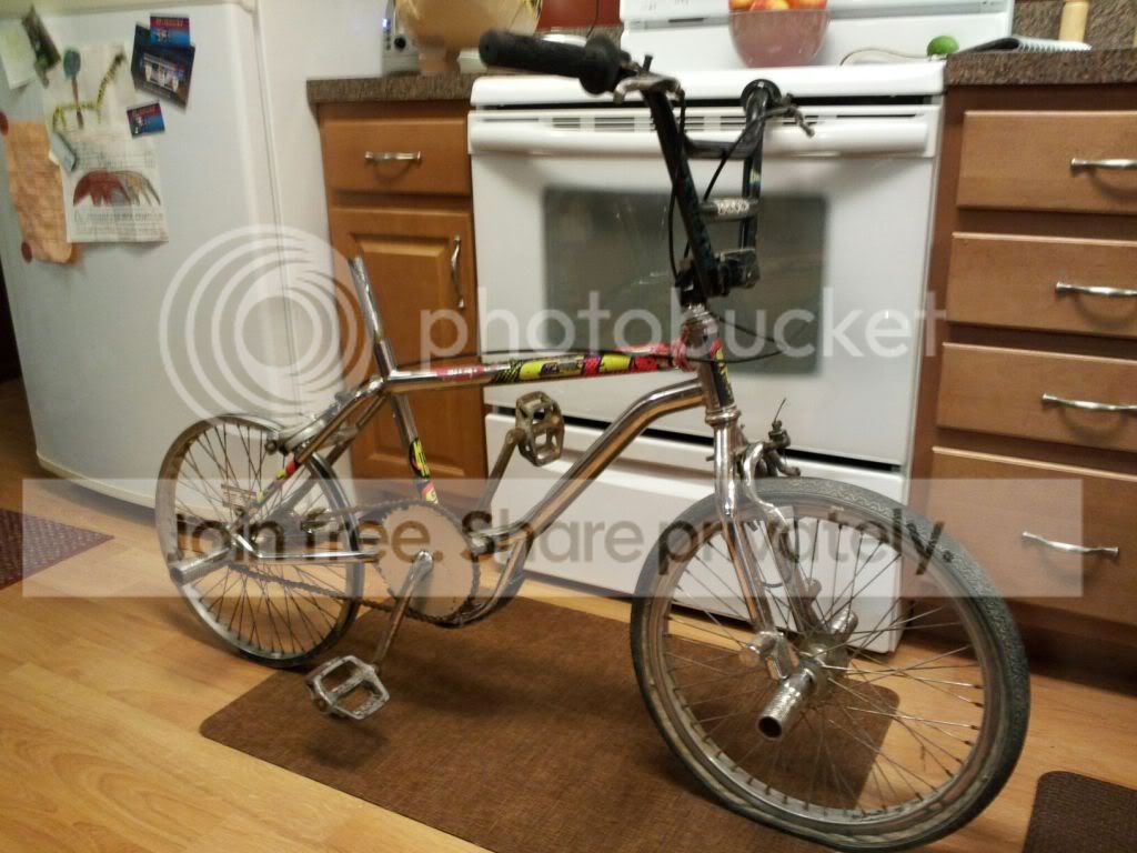 What GT Bikes Had Bash Guards - BMXmuseum.com Forums