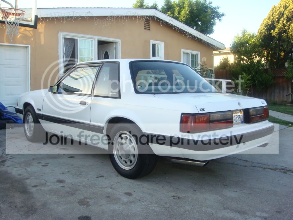 1988 Mustang Lx Notchback - Northern California Ford Owners