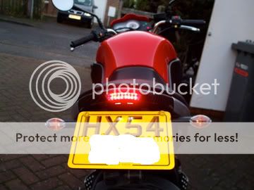 TAIL TIDY | Buell Motorcyle Forum